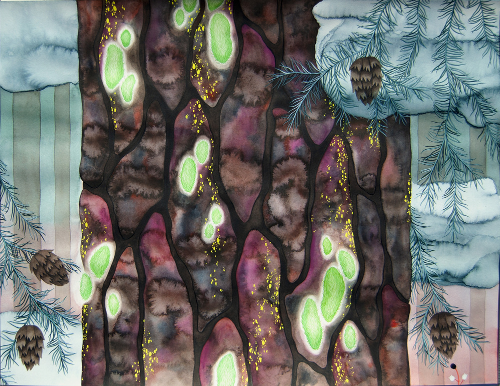 Douglas-Fir - Erin Kendig / Illustration / Art / Design