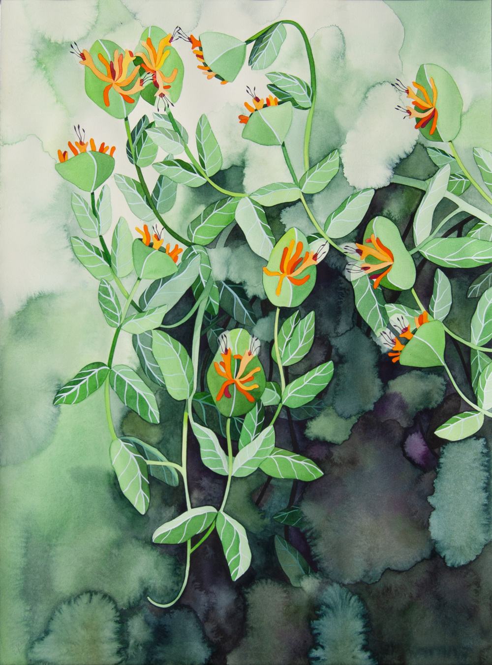 Honeysuckle 1 - Erin Kendig / Illustration / Art / Design