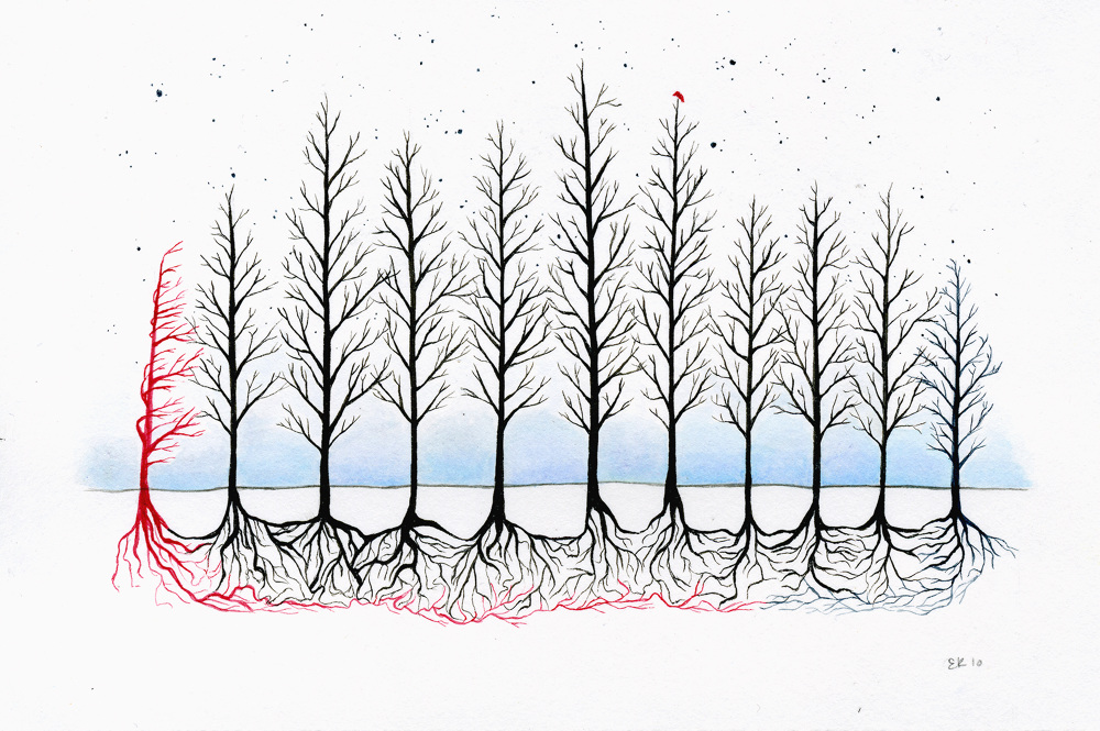 Aspen Grove - Erin Kendig / Illustration / Art / Design