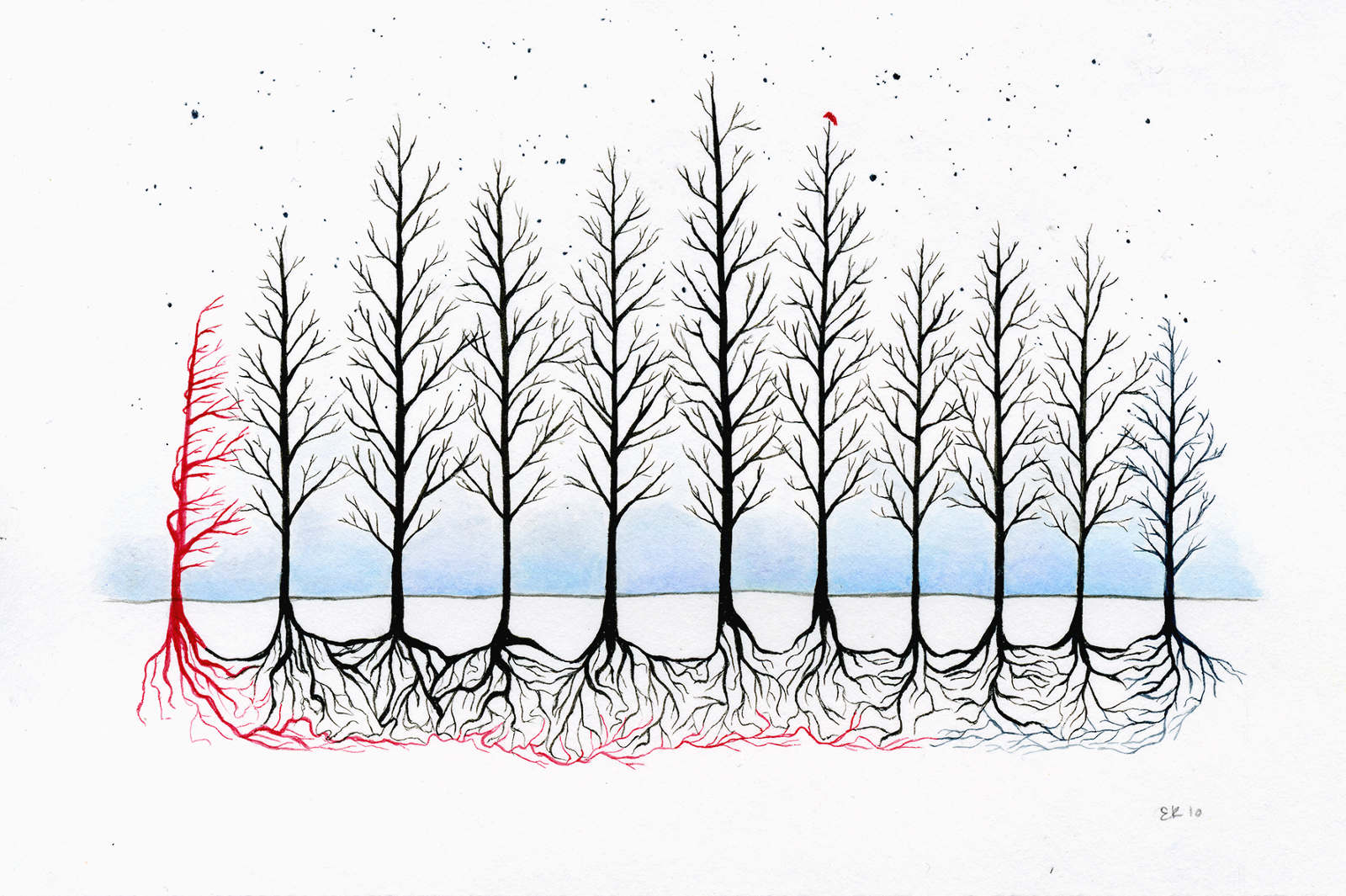 Aspen Grove - Erin Kendig / Illustration / Art / Design