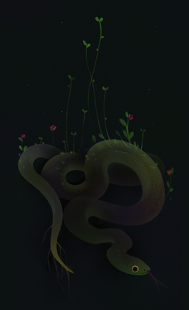 Tea Spirits - Heather Penn