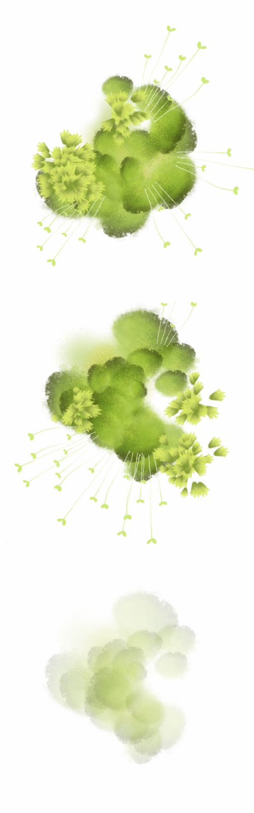 interactive moss - Heather Penn