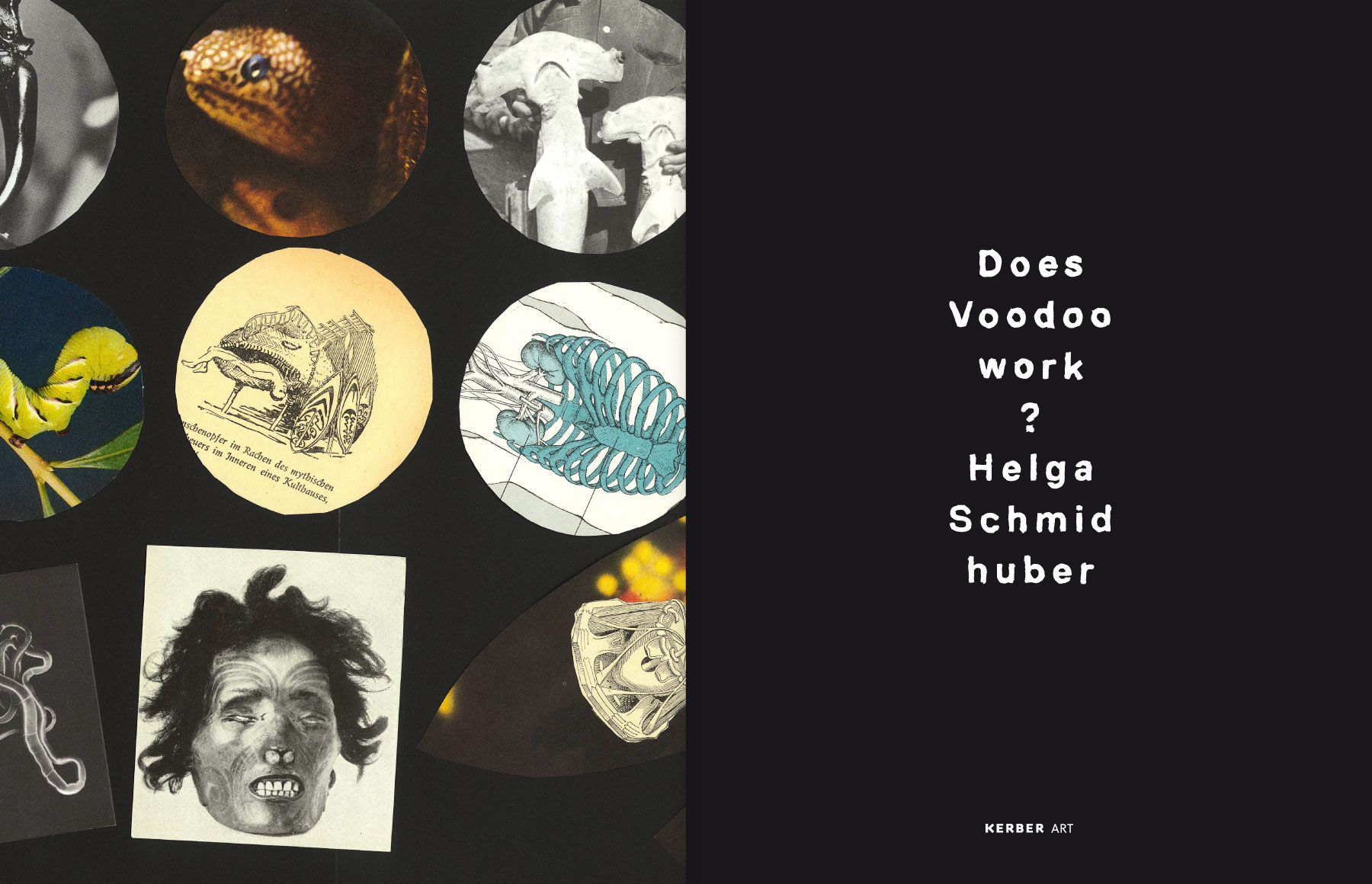 Does Voodoo Work? - Chris Steurer