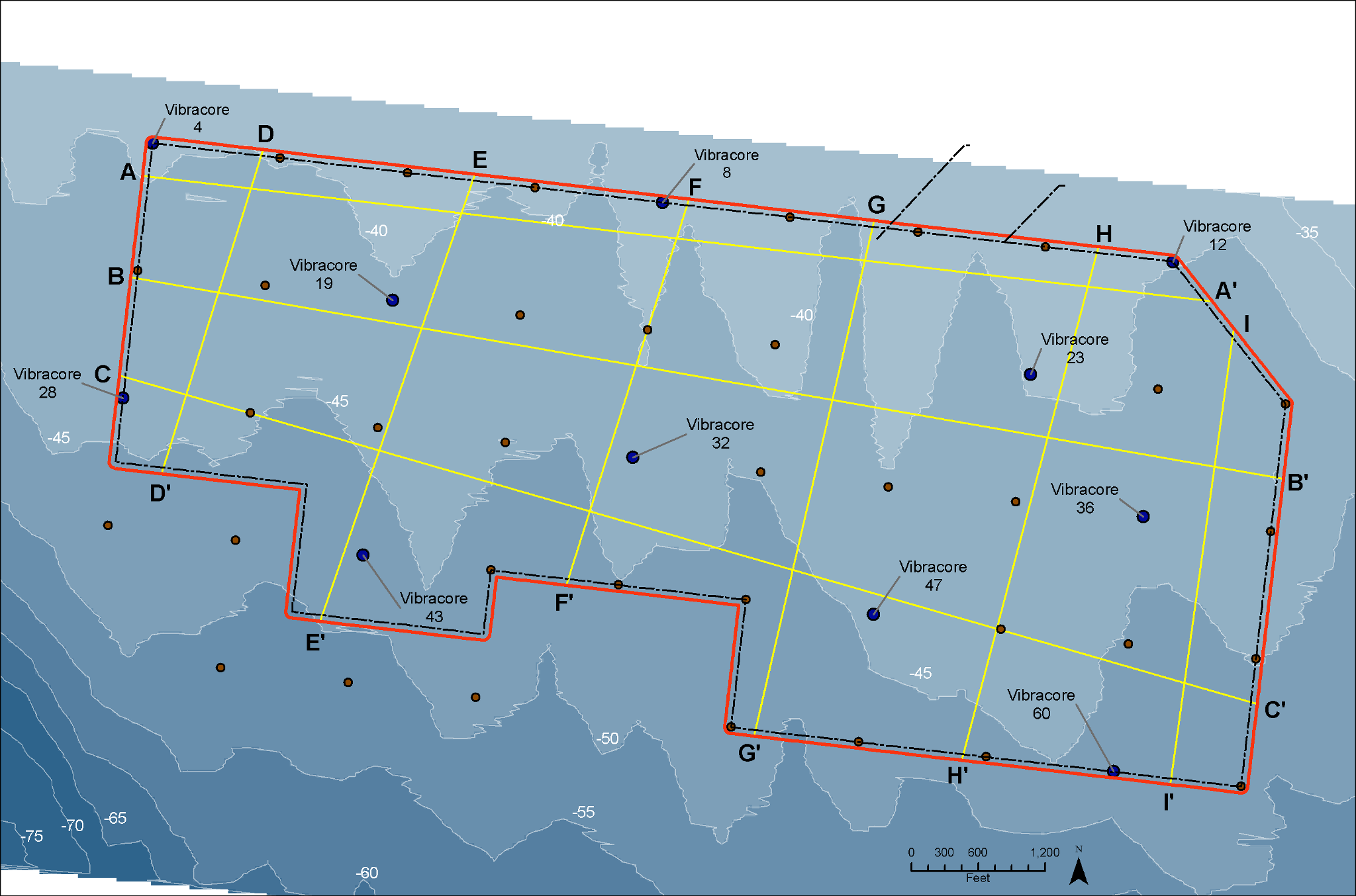 Vibracore Profiles - Robert Collaro, GISP, CFM