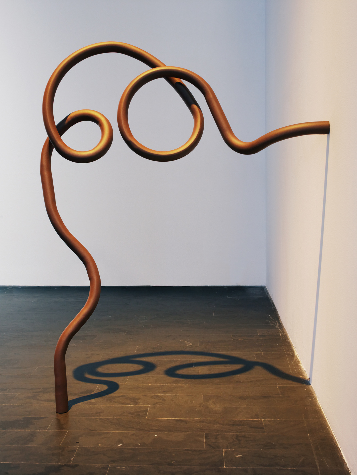TENTACULAR LOOPY SCULPTURES. TWO LOOPS - rosanaantoli
