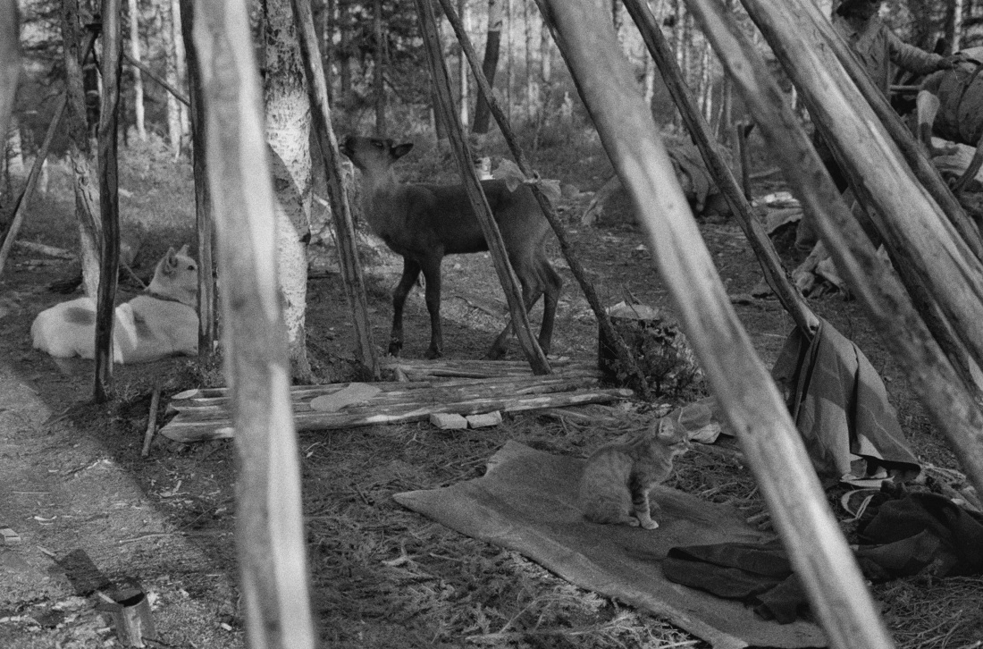 TUNGUSKA - VALERI NISTRATOV | OFFICIAL WEBSITE