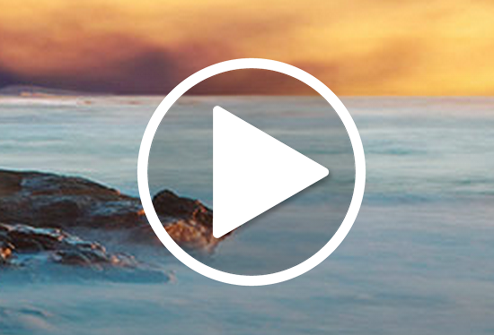 Video Play Button - Janelle Flores Designs