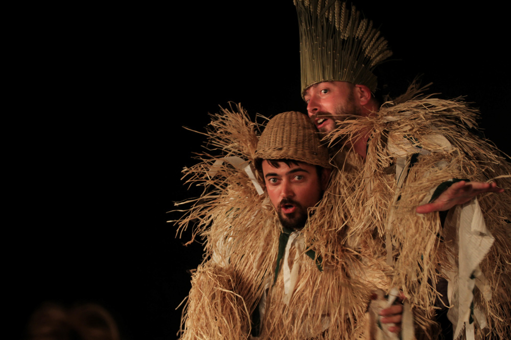 A Mid Summer Night's Droll - amélie rousseau