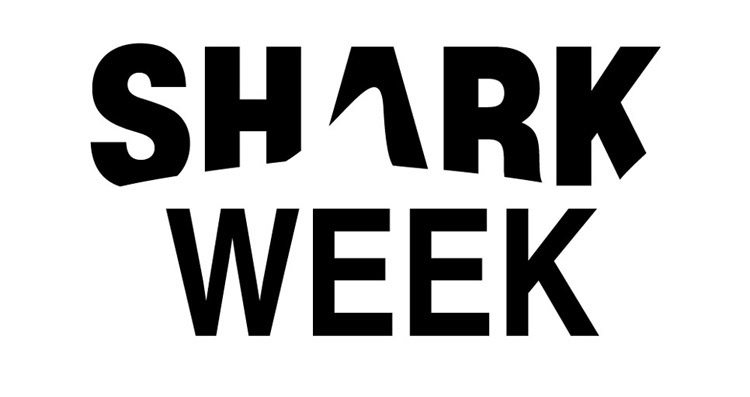 I Created The Shark Week Logo, Worship ME - Kris Merc Director