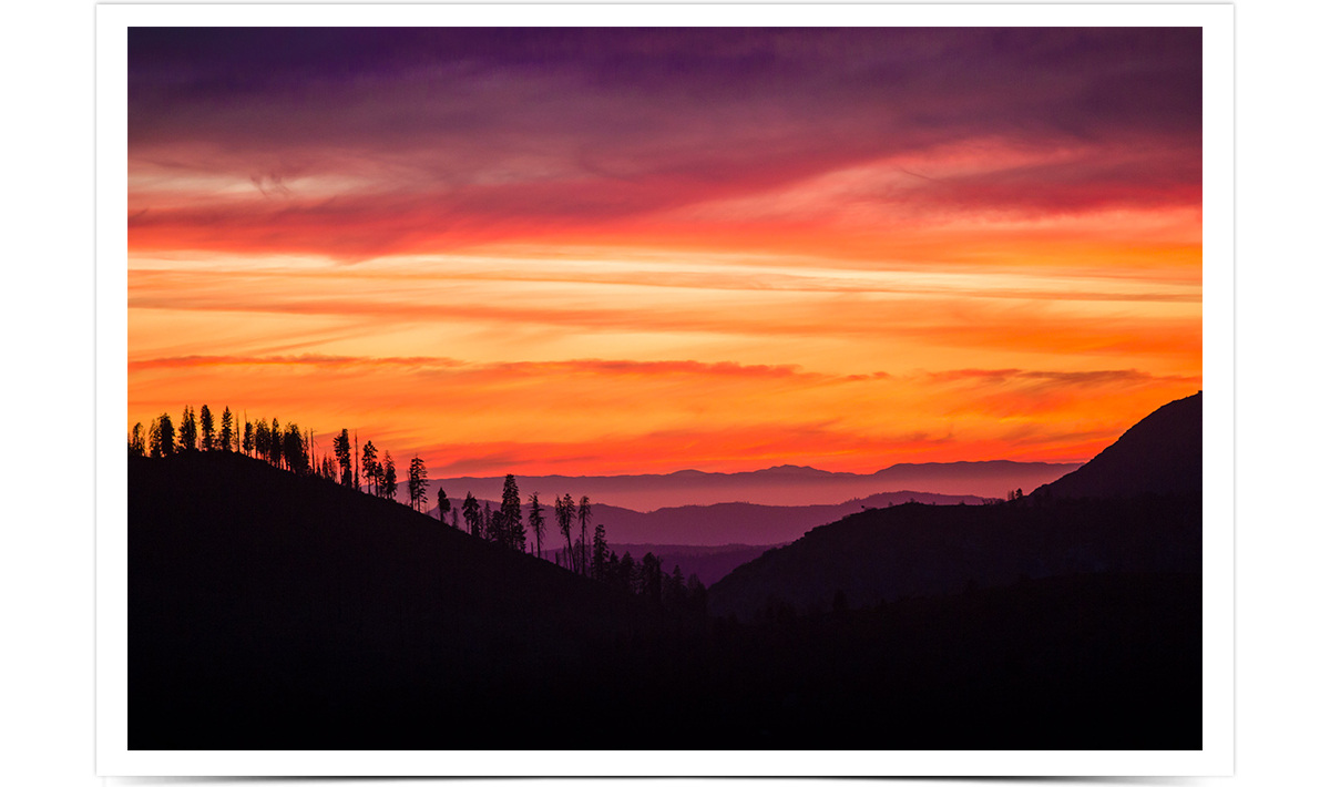 Lance Leongraphy | The Work of Lance Leong