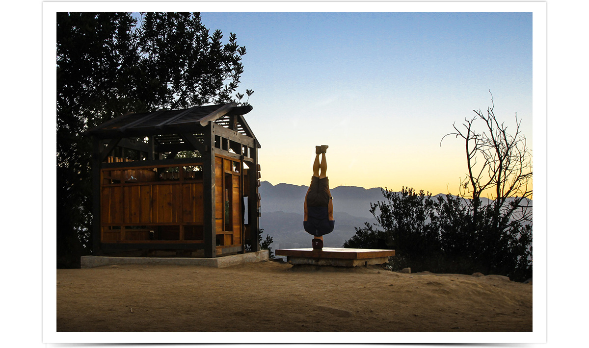 Lance Leongraphy | The Work of Lance Leong