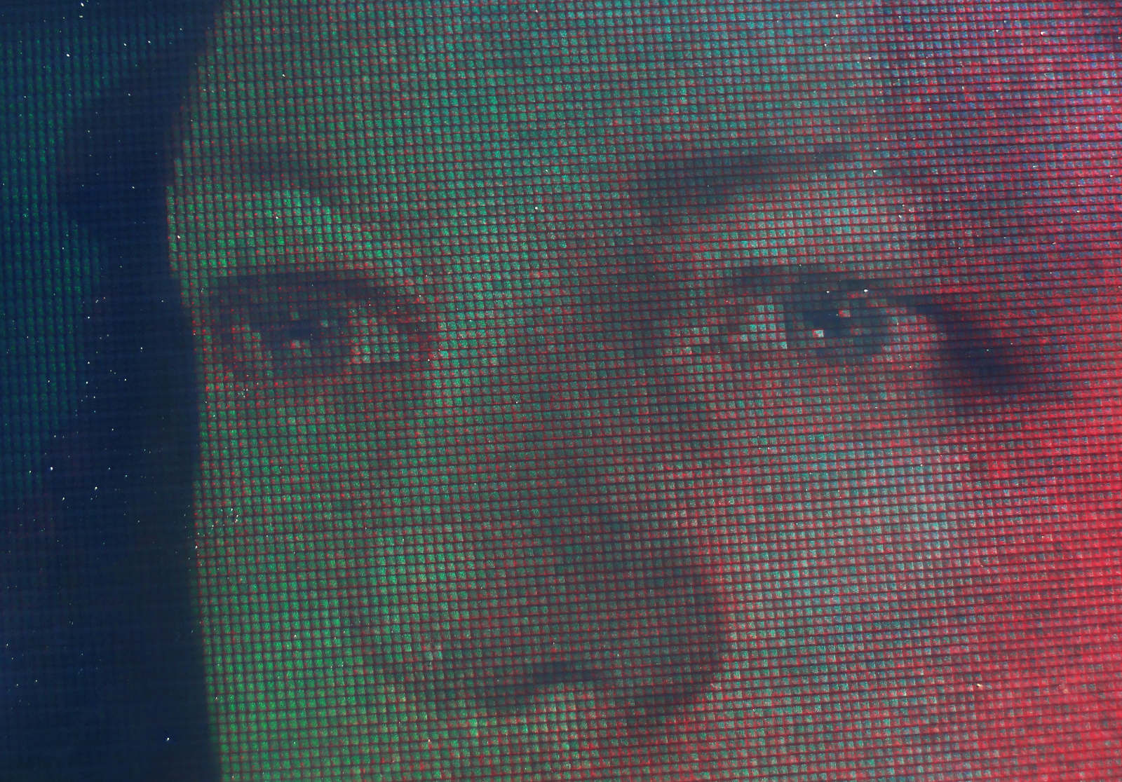 Holographic Self Portrait - Ray Toy