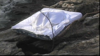 Sleeper Birth - Shana Palmer