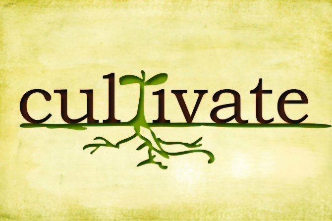 Cultivate - Caroline Hutchison Design