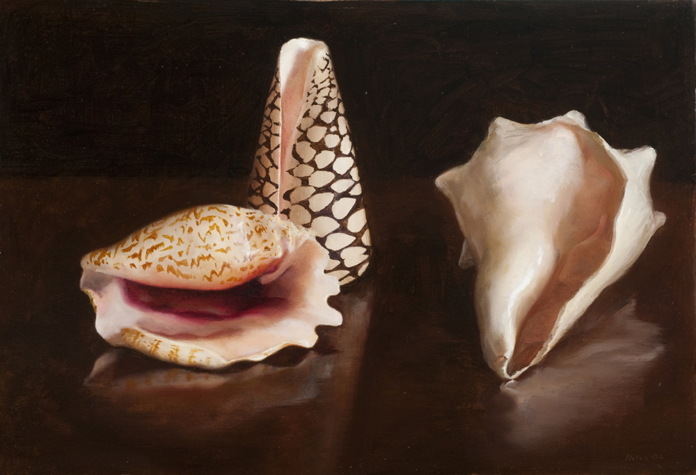 Sea Shell Paintings & Drawings - Helen Oh Visual Artist