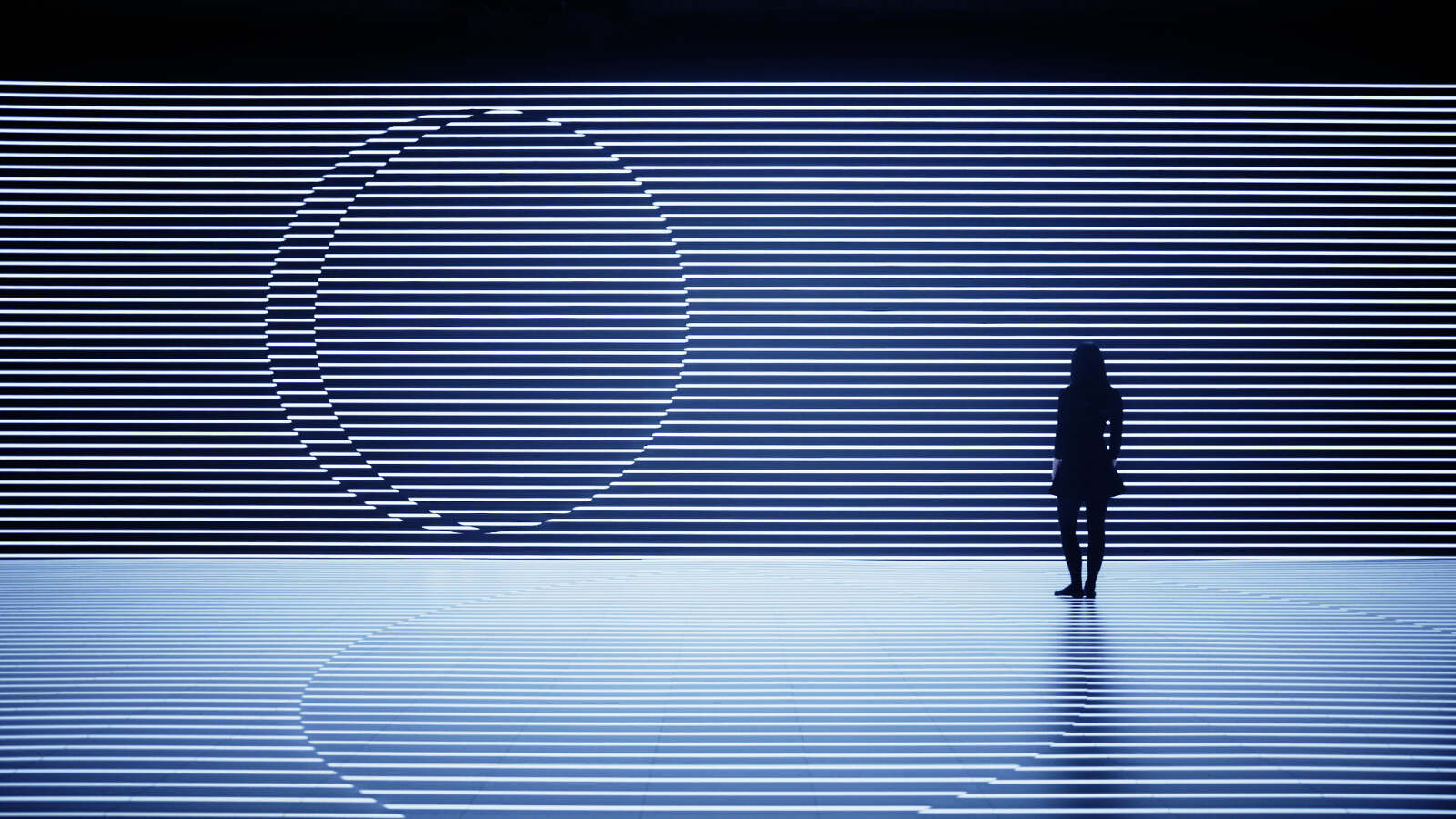 _HIDDEN SHADOWS V.2 - NONOTAK studio