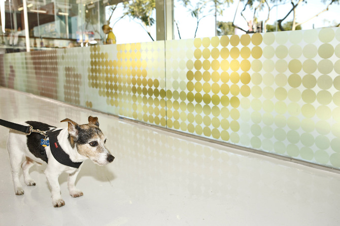 Healthy Spot II - AkarStudios