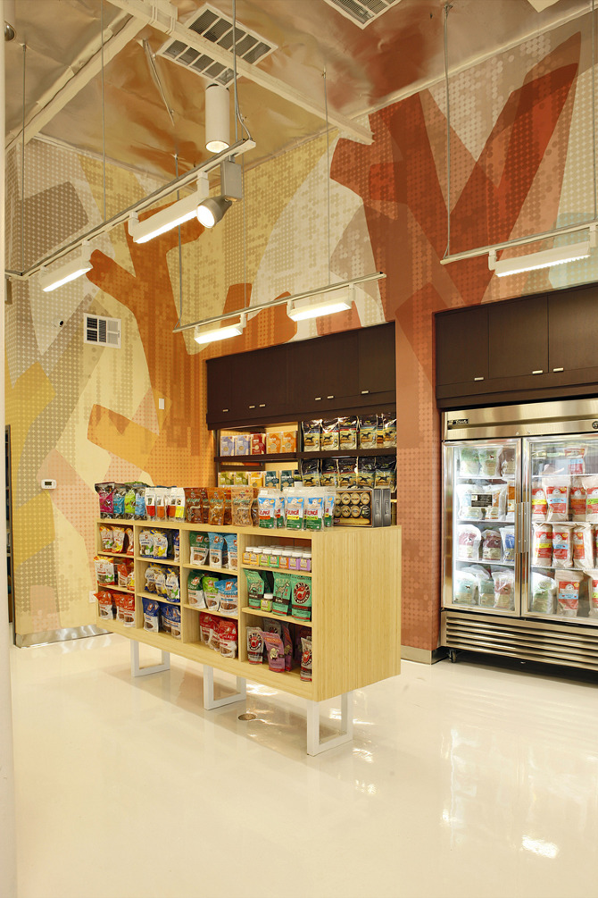 Healthy Spot II - AkarStudios
