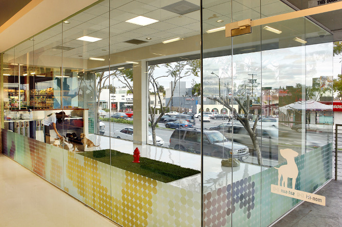 Healthy Spot II - AkarStudios