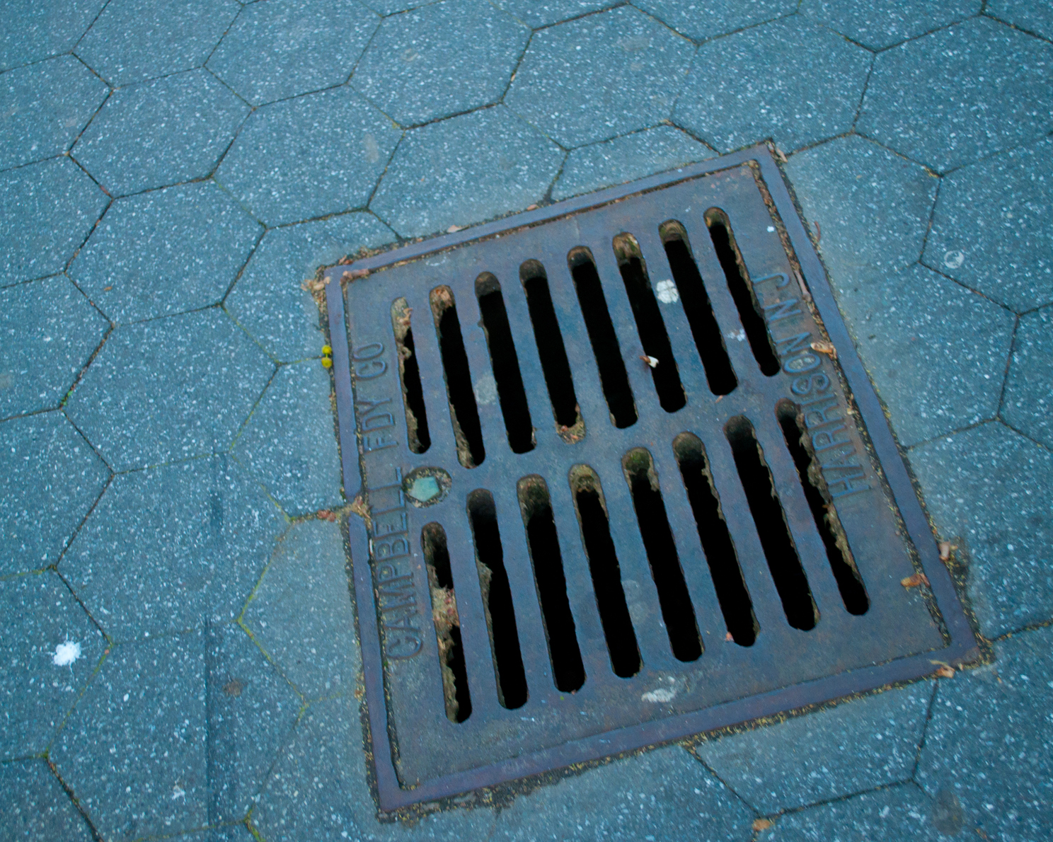 Julie Paglieroni Photography