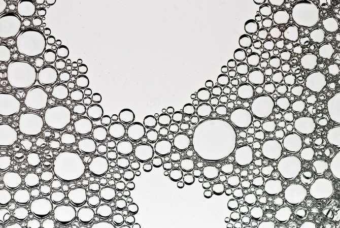 Macrography - Casi Fleischman Photography