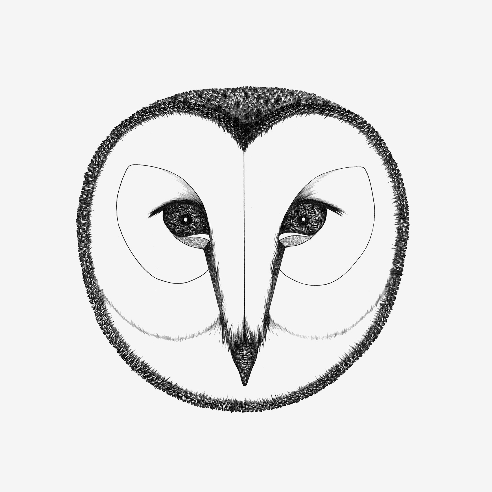 Animal Masks - Suthipa Kamyam