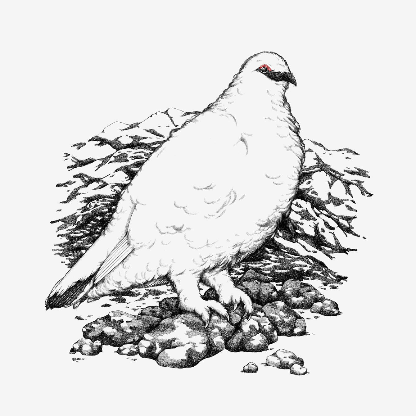 A Rype - Suthipa Kamyam