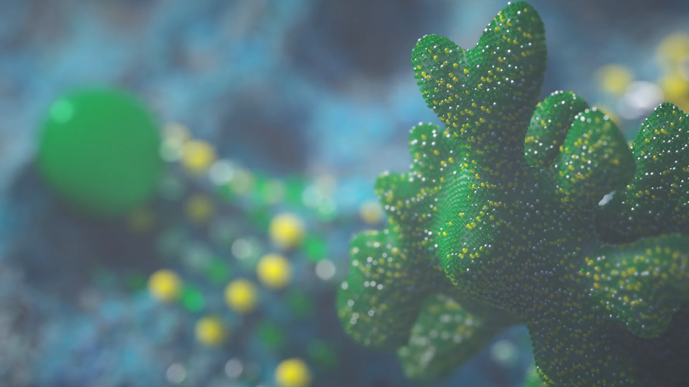 The Melbourne Model - Martin Salfity