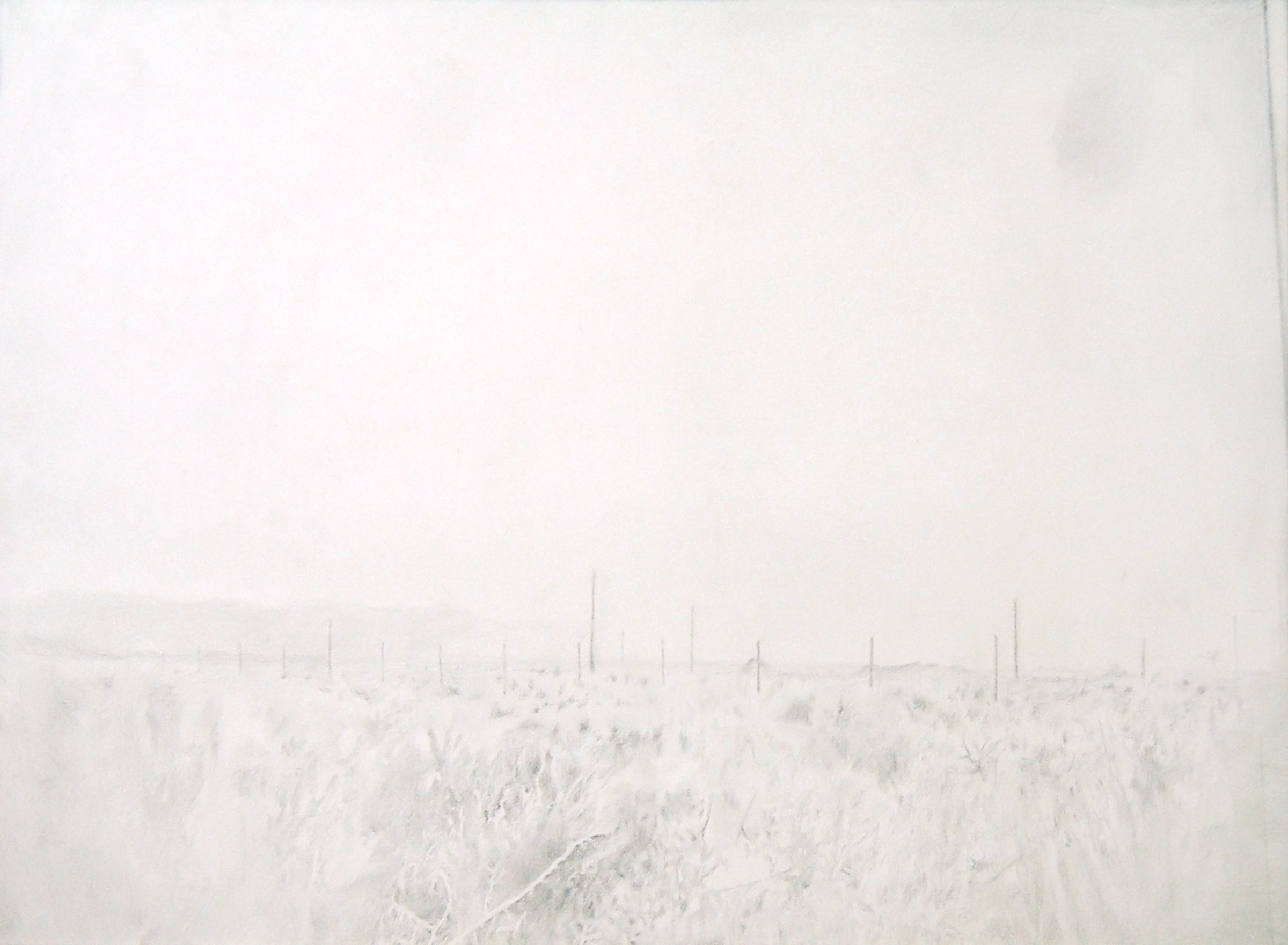 Land - Christopher T Wood