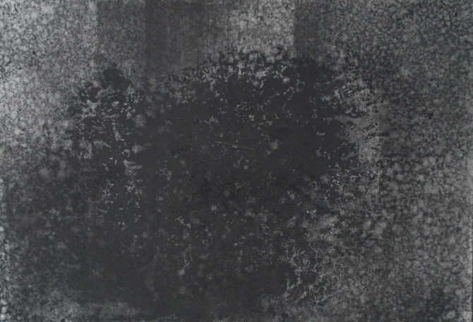 The Supermale - Christopher T Wood