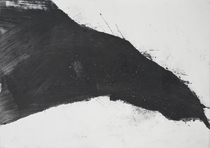 The Supermale - Christopher T Wood