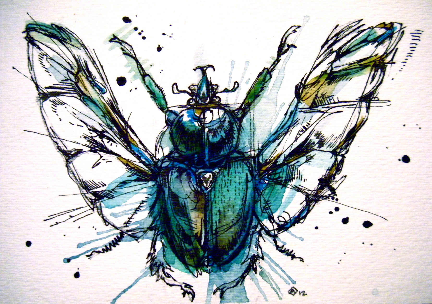 Two Beetles - Finch Fight: Drawing & Illustration