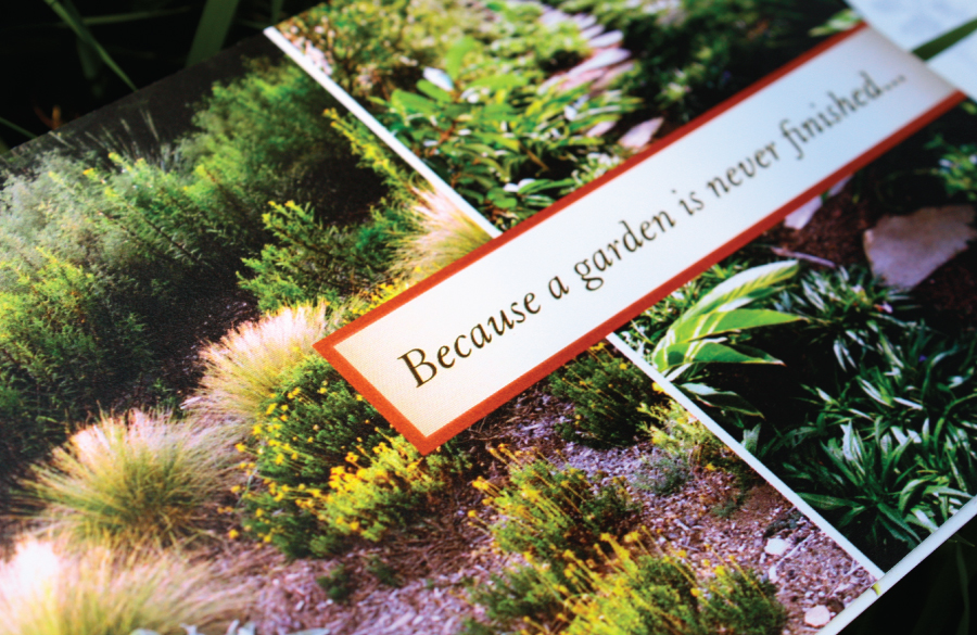 Red Wheelbarrow - apodiform