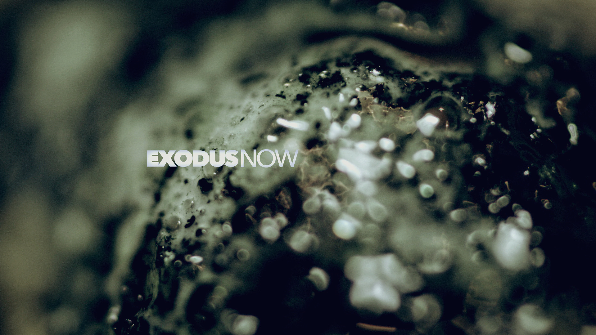 Surviving Exodus Open - Greg Herman | Motion Design Archives