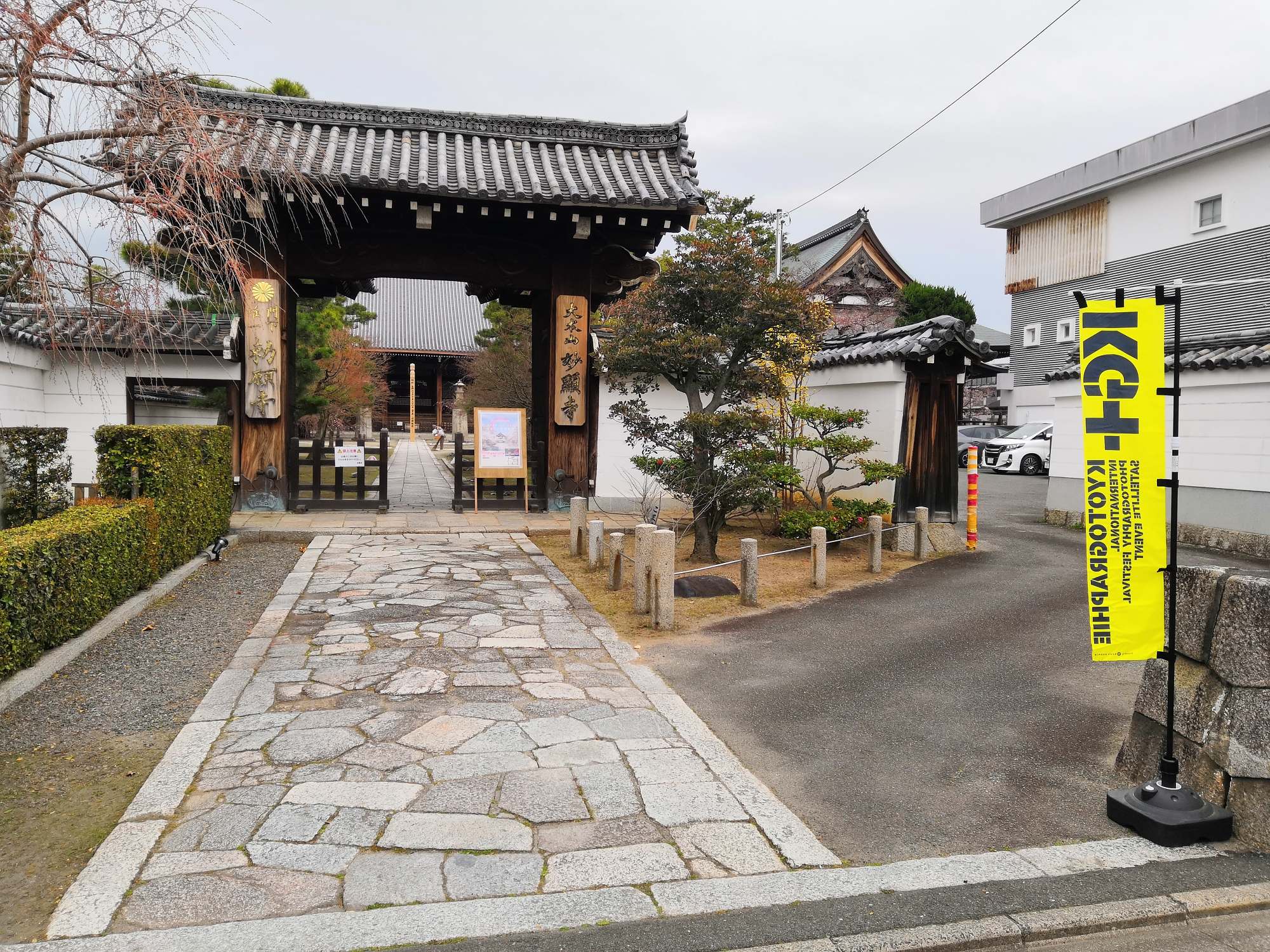 Yugen (with Reiko Yagi) - Scott Hunter – Environmental Artist | New ...