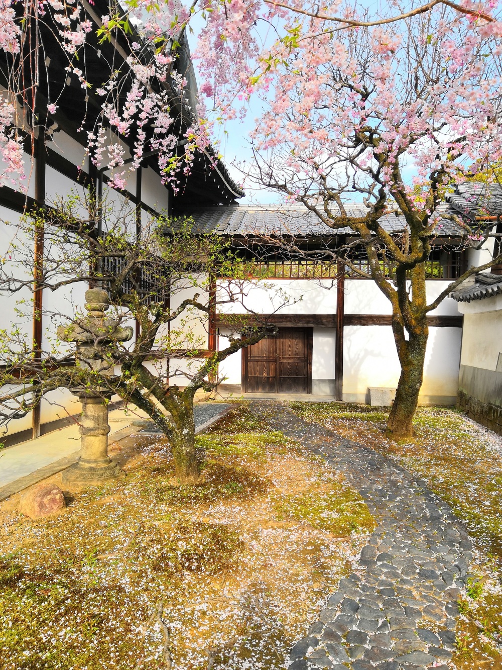 Yugen (with Reiko Yagi) - Scott Hunter – Environmental Artist | New ...