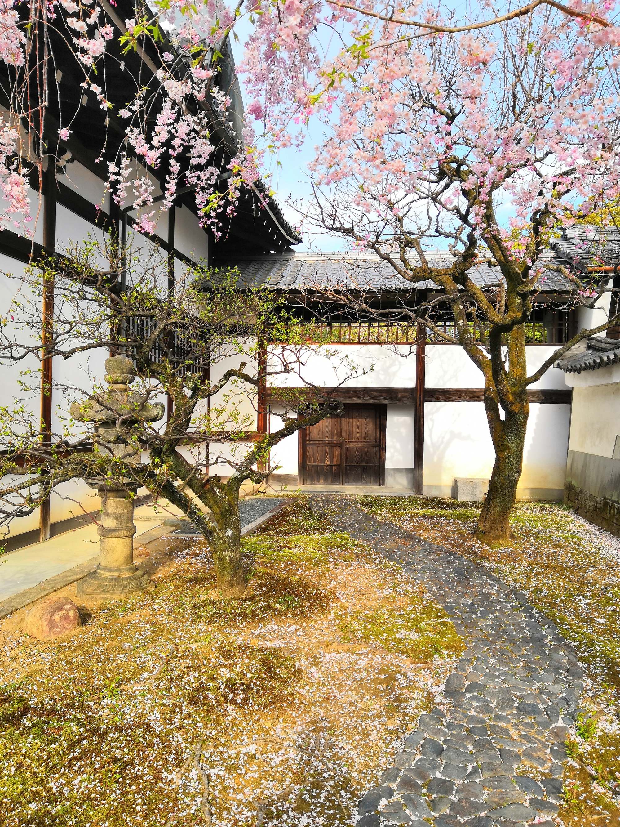 Yugen (with Reiko Yagi) - Scott Hunter – Environmental Artist | New ...