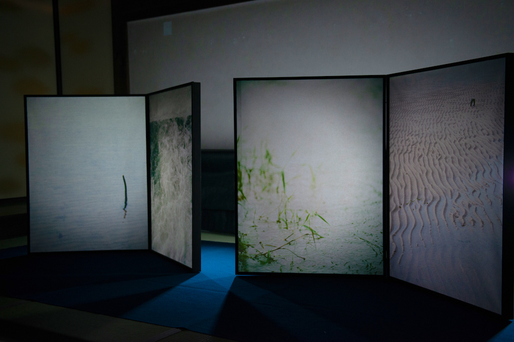 Yugen (with Reiko Yagi) - Scott Hunter – Environmental Artist | New ...