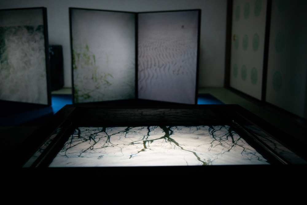 Yugen (with Reiko Yagi) - Scott Hunter – Environmental Artist | New ...