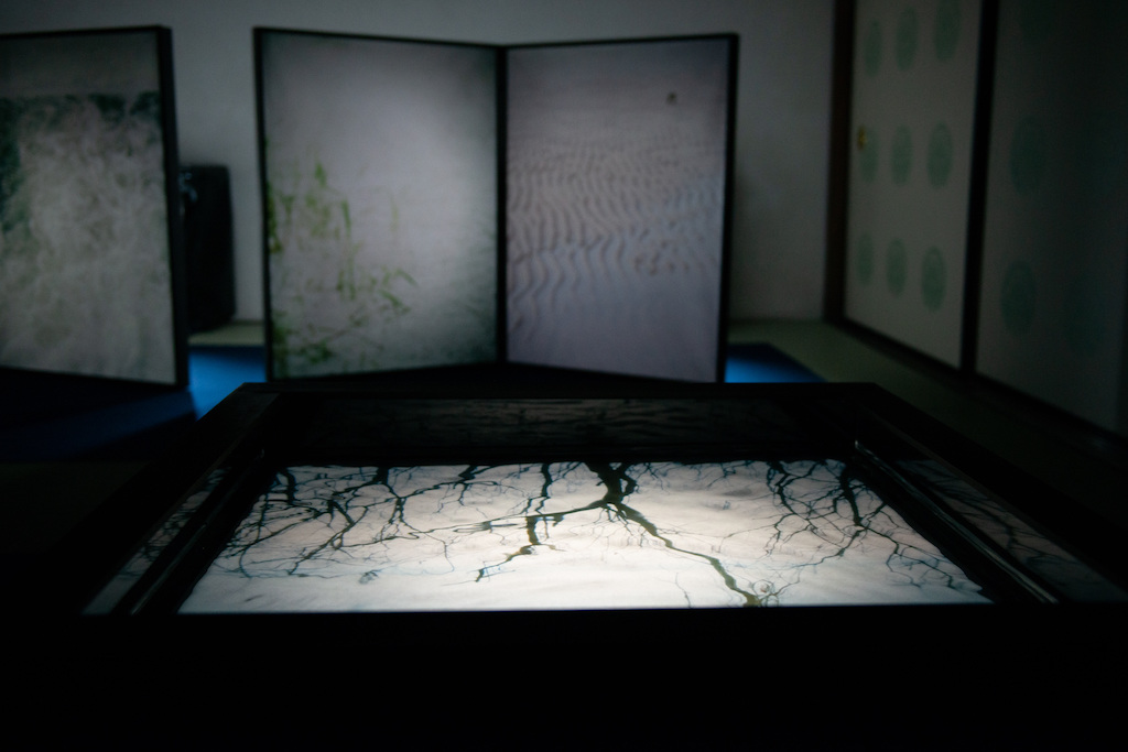 Yugen (with Reiko Yagi) - Scott Hunter – Environmental Artist | New ...