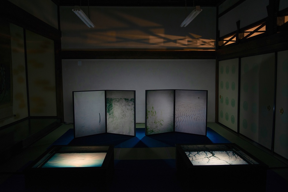 Yugen (with Reiko Yagi) - Scott Hunter – Environmental Artist | New ...