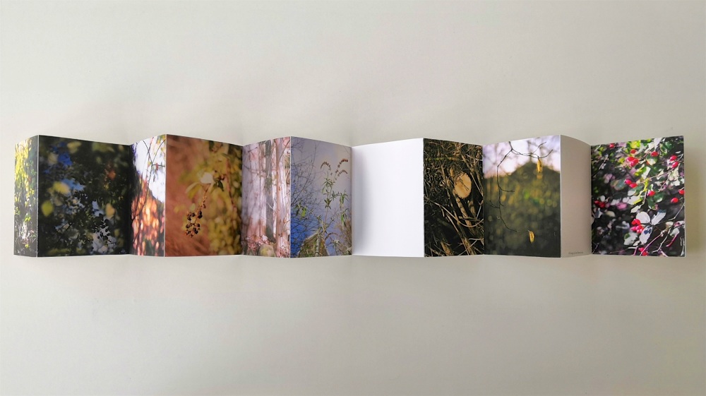 Artist Books - Scott Hunter – Environmental Artist | New Materialism ...
