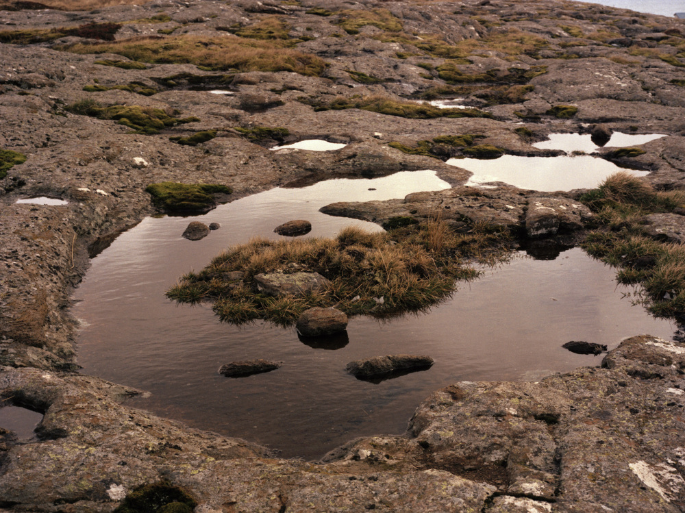 Andosols - Scott Hunter – Environmental Artist | New Materialism ...