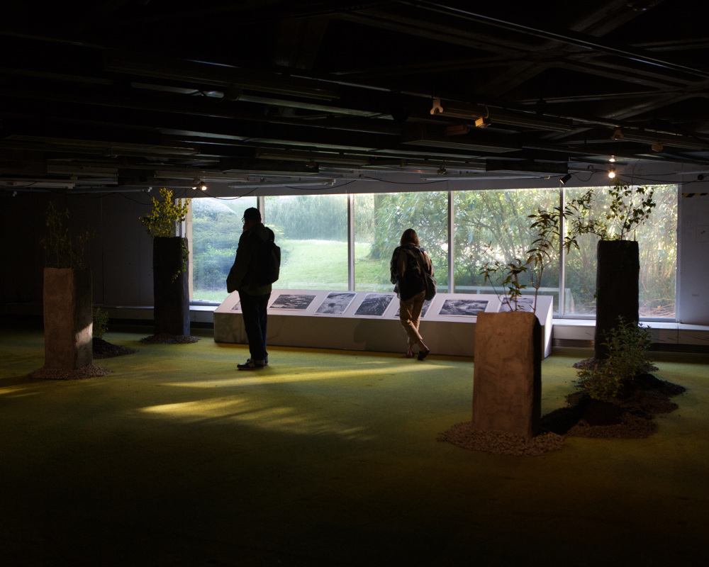 Rambunctious Garden - Scott Hunter – Environmental Artist | New ...