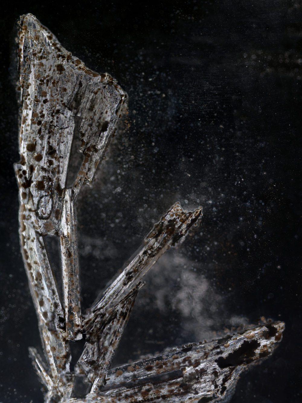 LoES - Scott Hunter – Environmental Artist | New Materialism ...