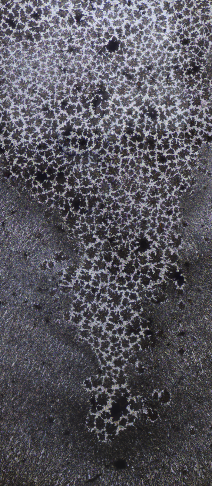 LoES - Scott Hunter – Environmental Artist | New Materialism ...