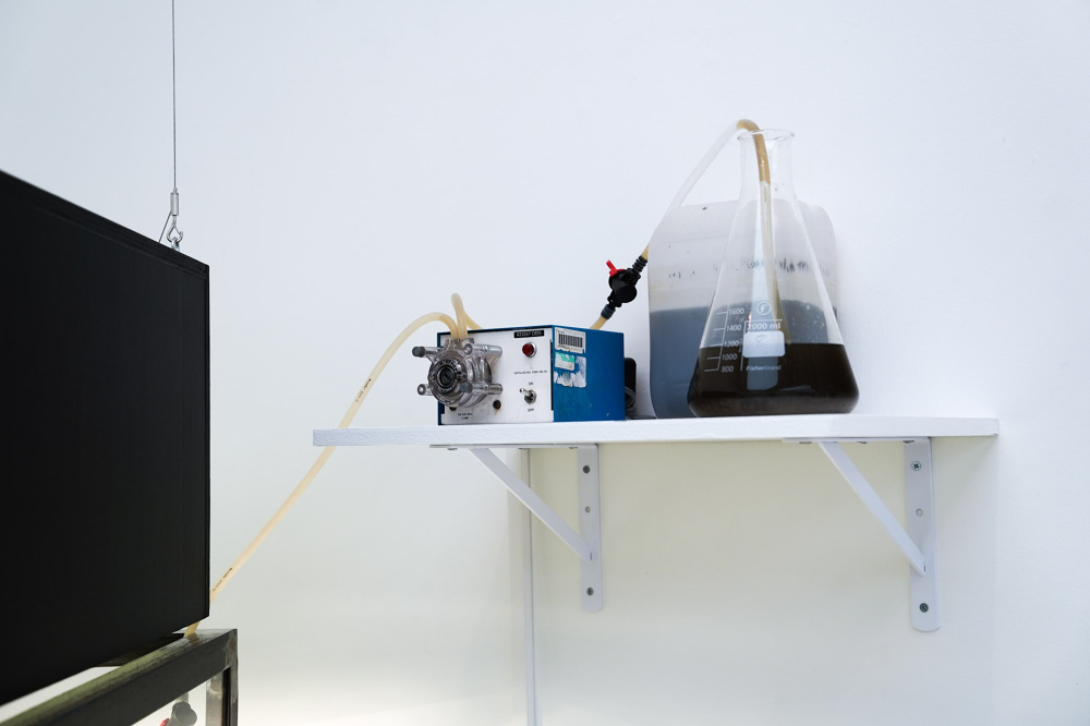 Saatchi Gallery - Scott Hunter – Environmental Artist | New Materialism ...