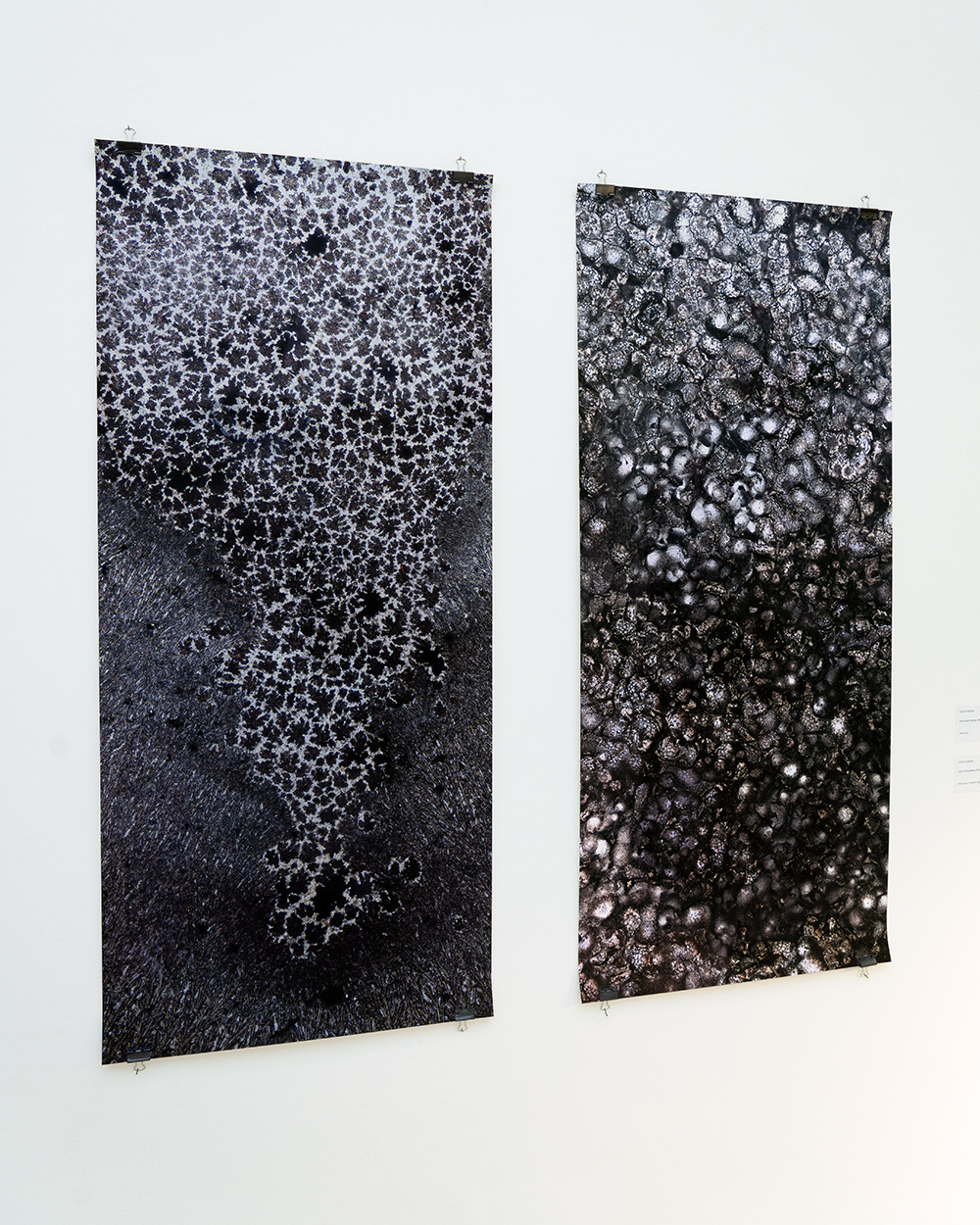 Saatchi Gallery - Scott Hunter – Environmental Artist | New Materialism ...