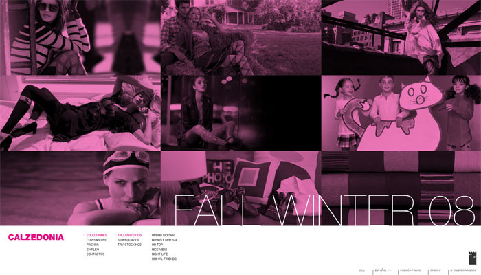 CALZEDONIA - avestudio