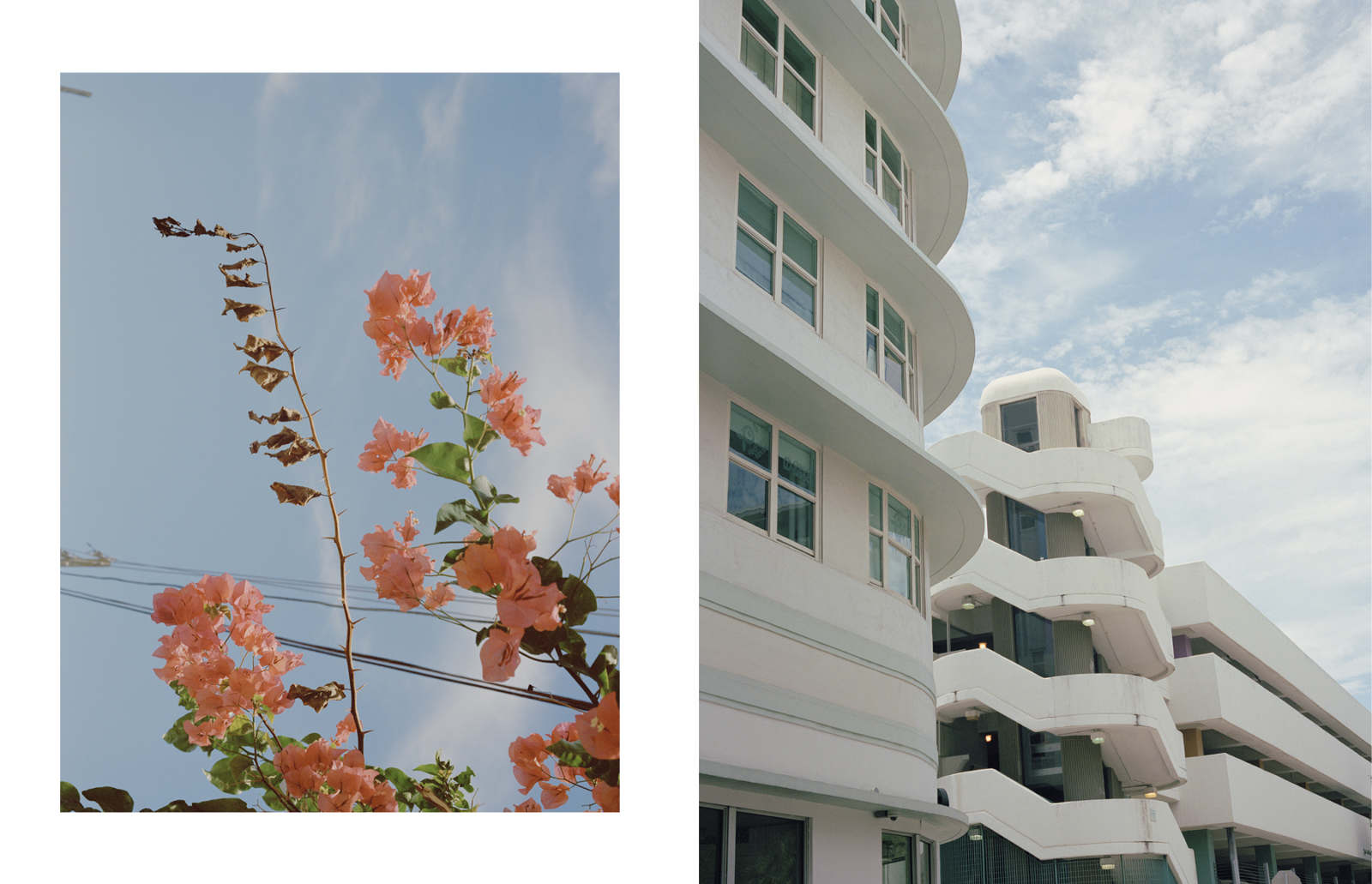 Miami Textures - Hannah Rose Photography